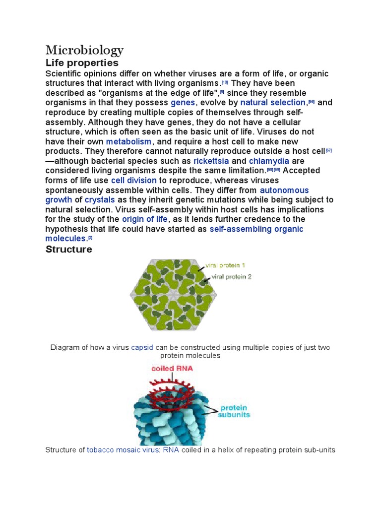 Microbiology: Structure and Properties of Viruses | PDF | Virus | Tree ...