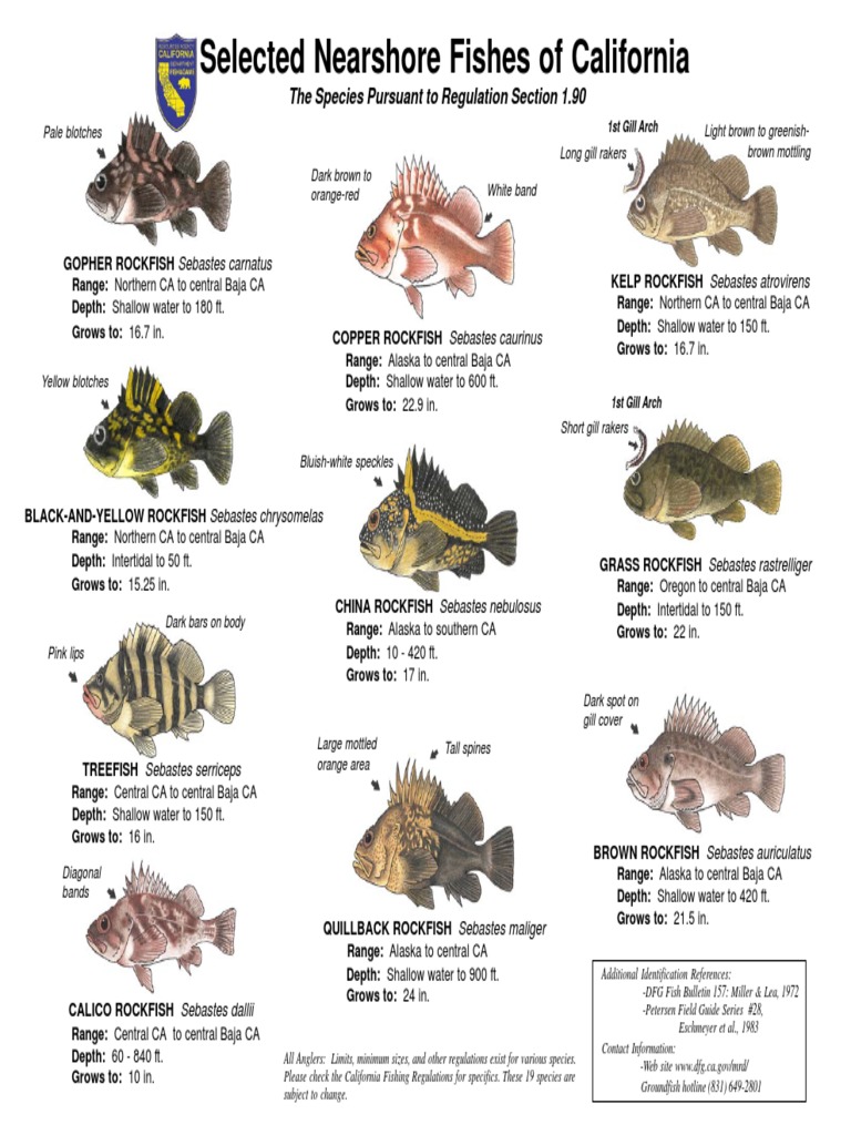 Selected Nearshore Fishes of California: The Species Pursuant To ...
