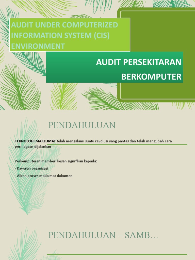 Audit Under Computerized Informatio System Cis | PDF