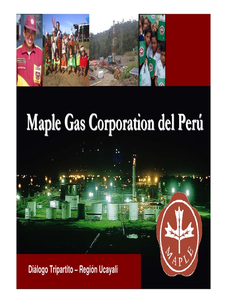Maple Gas: Energía y Desarrollo Sostenible | PDF | Petróleo | Entorno ...