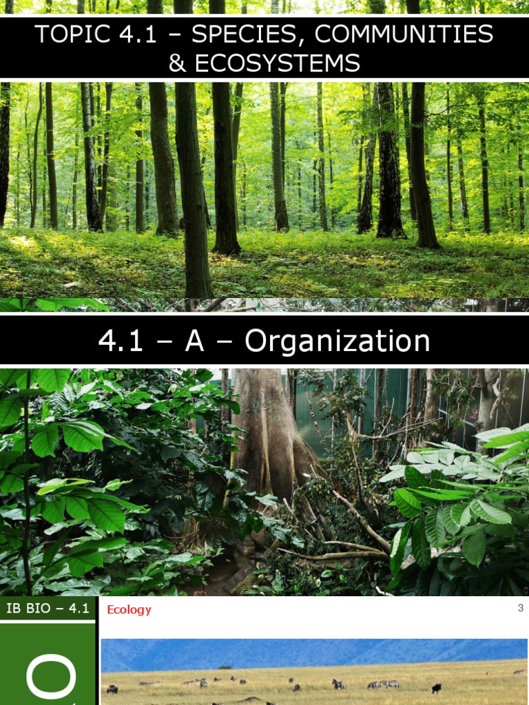 IB Biology 4.1 Species Communities Ecosystems PPT | PDF | Hybrid ...