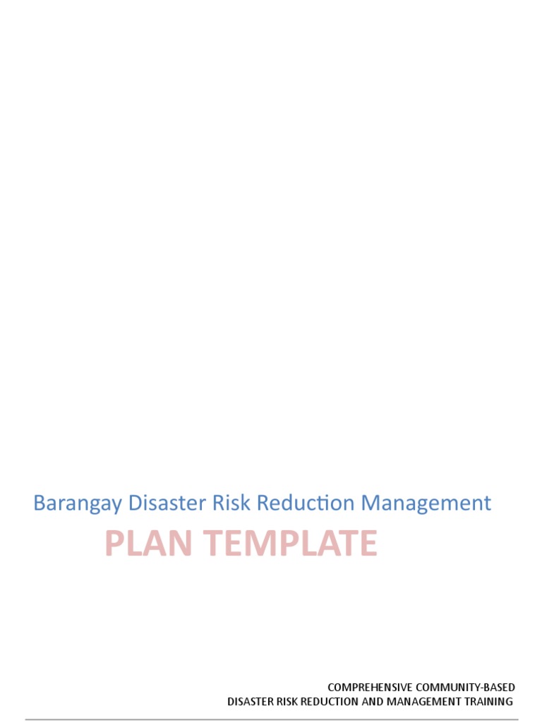 BDRRM Plan Template | PDF