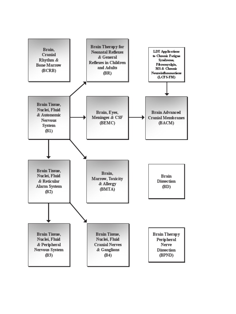 2 Brain Flow Chart - Wo Title 11 19 18 PDF | PDF | Computers