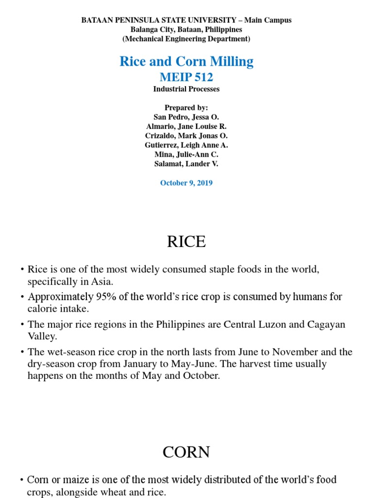 Rice and Corn Milling | PDF | Rice | Maize