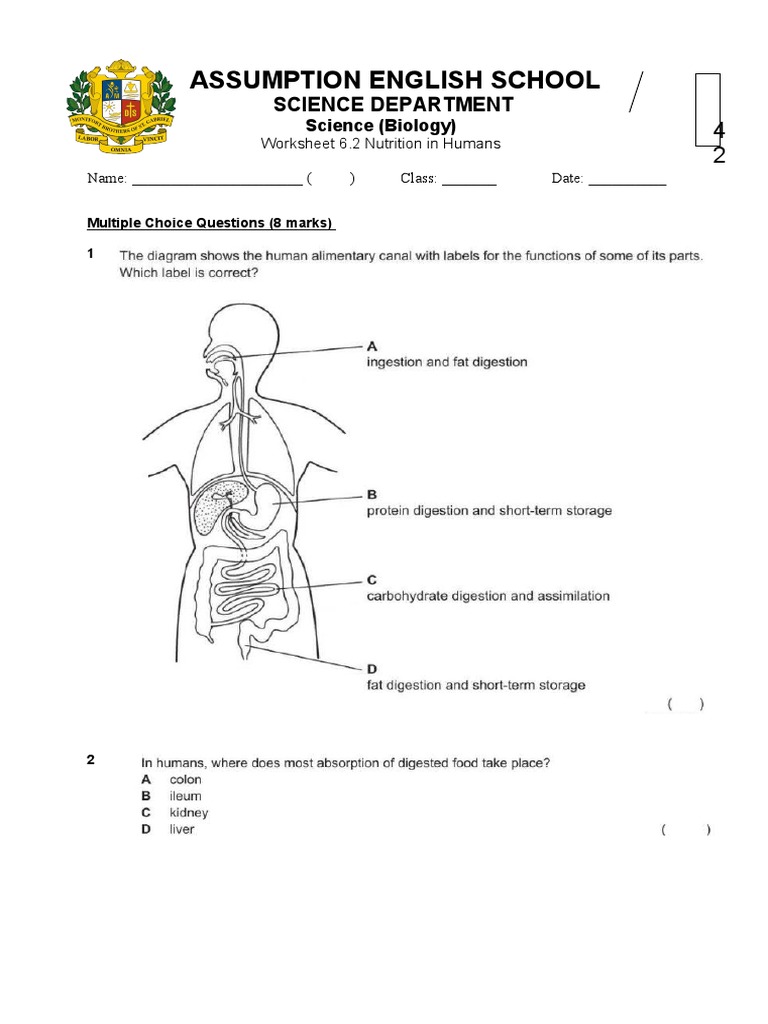 Nutrition Worksheet: Understanding the Essential Nutrients Required by ...