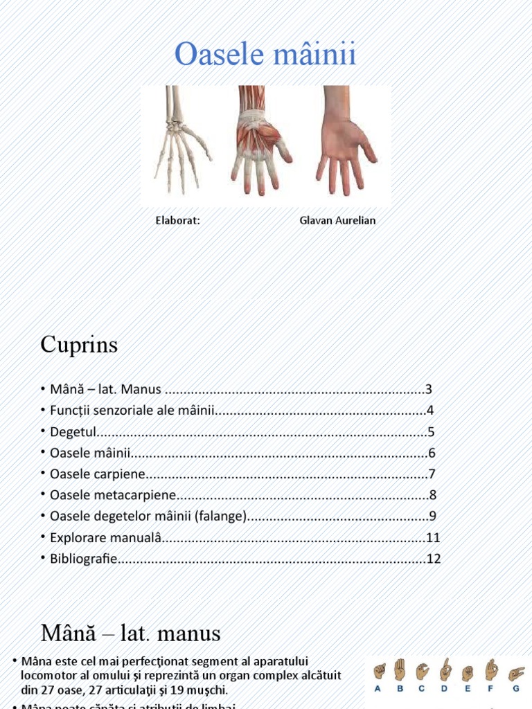 Anatomia Mana | PDF