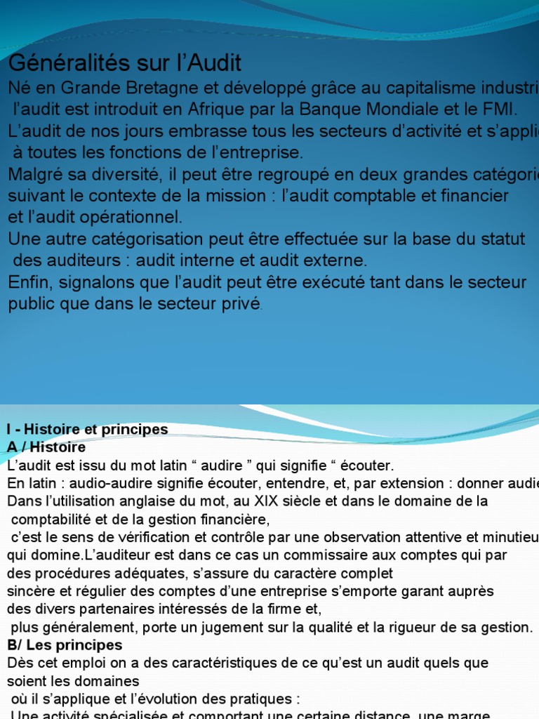 Audit Operationnel | PDF | Audit financier | Audit