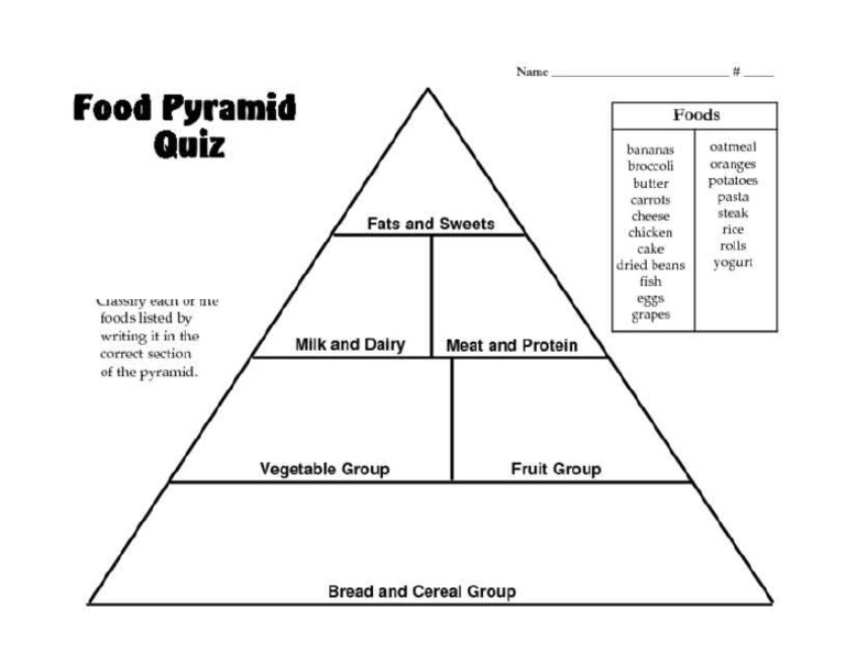 Food Pyramid Worksheet | PDF