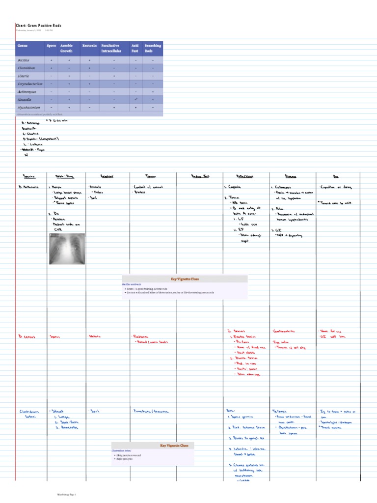 FINAL-Chart Gram Positive Rods | PDF