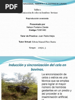 Protocolo de Sincronizacion. Ovsynch | PDF | Vacas | Reproducción humana