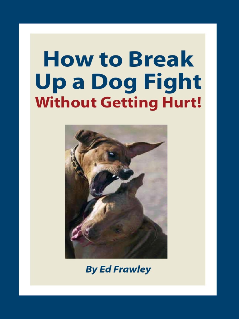 How To Break Up A Dog Fight: Without Getting Hurt! | PDF | Dog Training ...