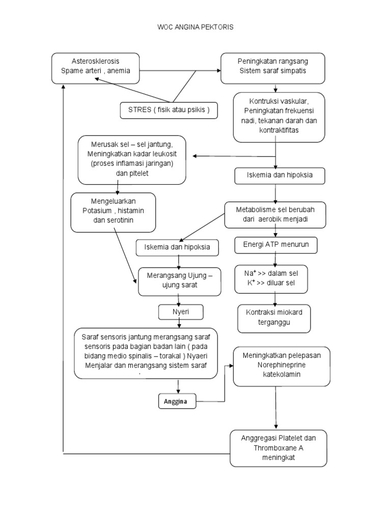 Pathway Angina-Pektoris | PDF
