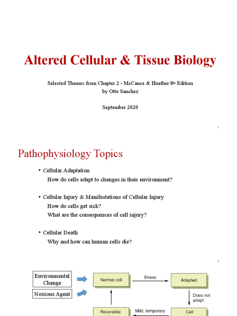 Altered Cellular & Tissue Biology 2020 | PDF | Necrosis | Organisms