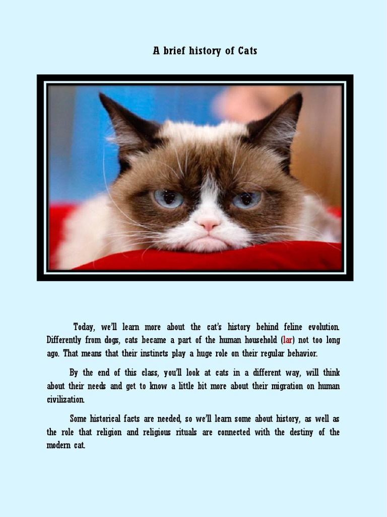 The History of Cats | PDF | Felidae | Cats