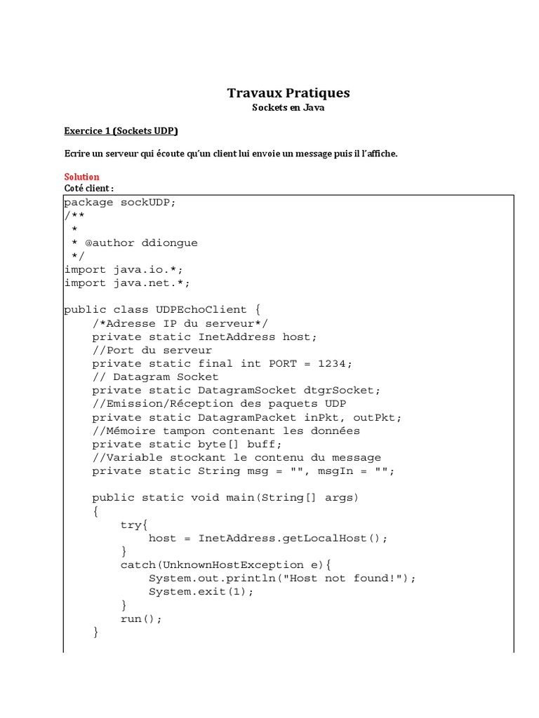 Travaux Pratiques: Exercice 1 (Sockets UDP) | PDF | Port (Computer Networking) | Network Socket