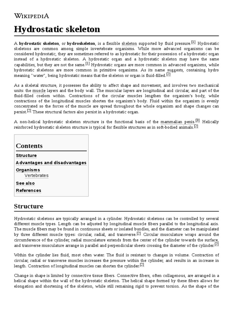 Hydrostatic Skeleton PDF | PDF | Animal Anatomy | Anatomy