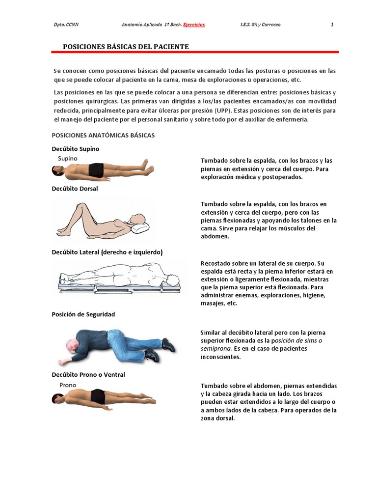 Posiciones Básicas y Quirúrgicas en Enfermería | PDF | Términos ...