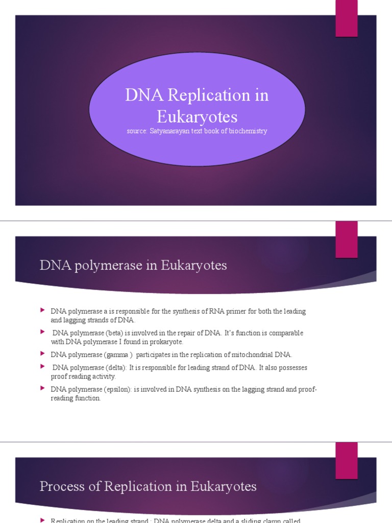 Dna Replication in Eukaryotes | PDF | Dna Replication | Primer ...