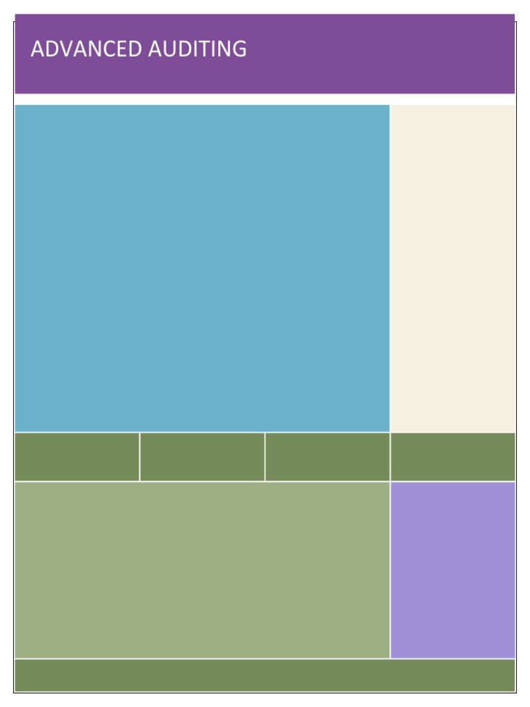 Advanced Auditing | PDF | Internal Control | Audit