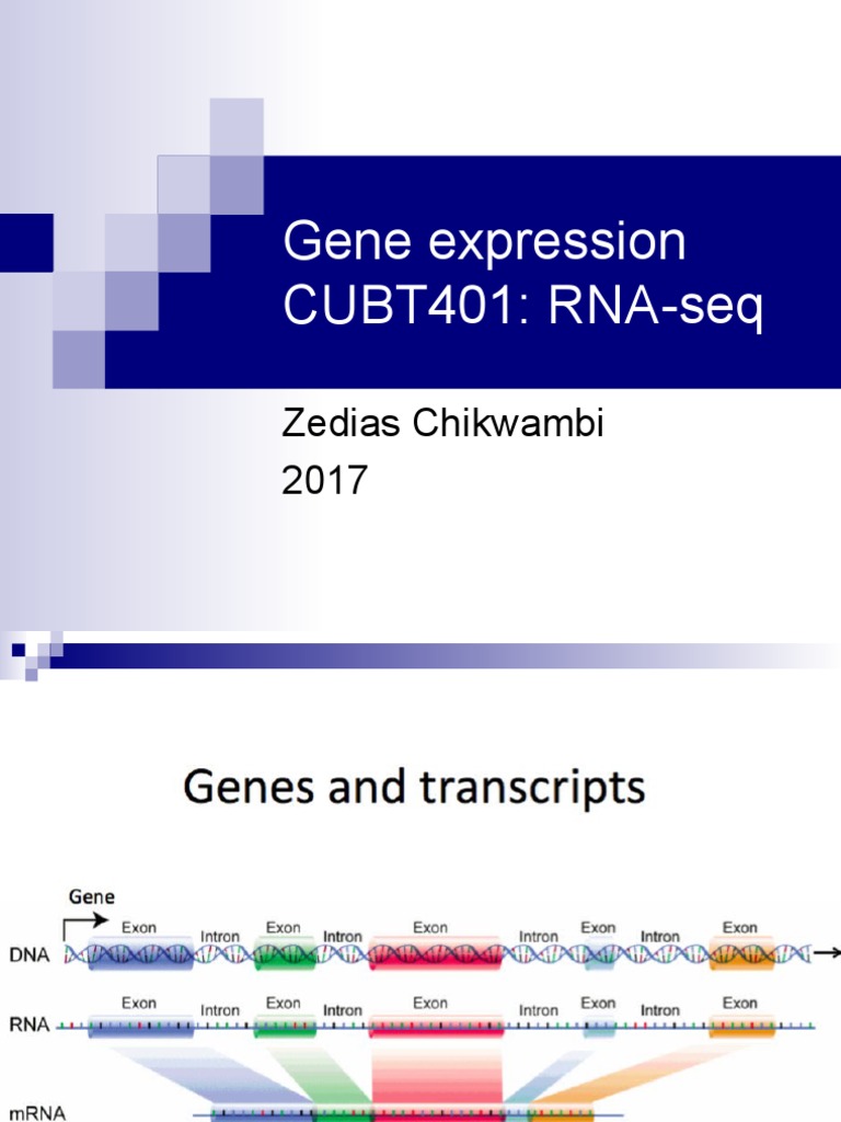 RNA-Seq Analysis Pipeline and Tutorial Overview for Gene Expression Studies | PDF | Alternative ...