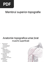 Sacroiliitis Grading per New York Criteria | PDF | Arthritis ...