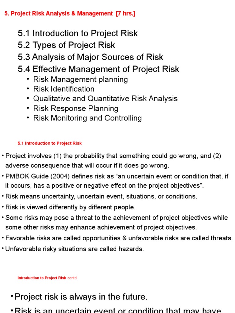 Types and Management of Project Risks | PDF | Risk Management | Risk