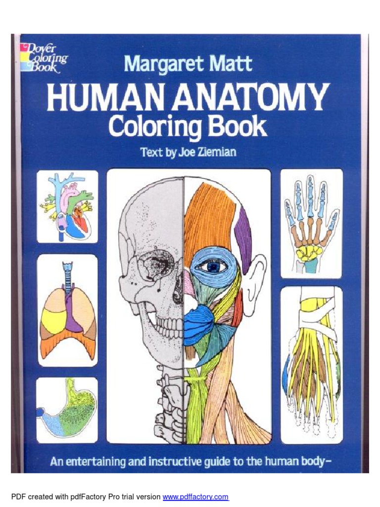 Anatomy Coloring Book (Dover Coloring Book) | PDF