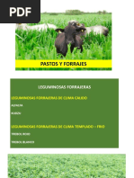 Ficha Técnica Del Pasto Marandú (Brachiaria Brizantha Cv. Marandú ...
