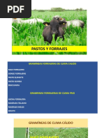 Ficha Técnica Del Pasto Imperial (Axonopus Scoparius, Hitchc) | PDF ...