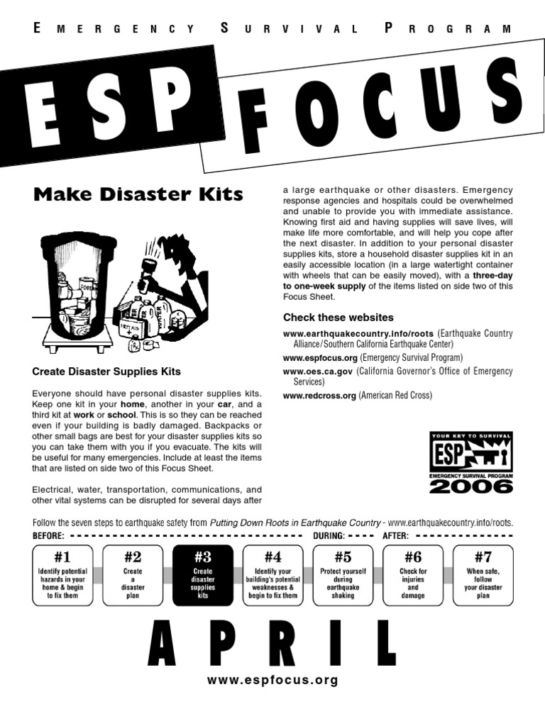 Essential Disaster Kit Checklist | PDF | Science & Mathematics