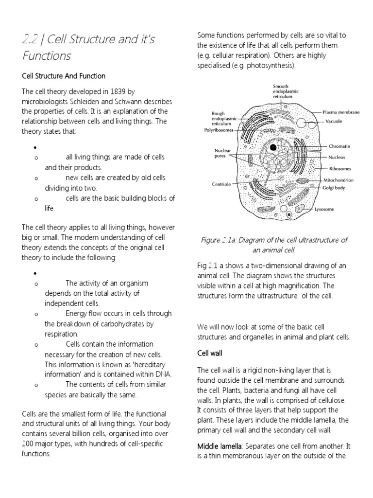 2.2 - Cell Structure and It's Functions | PDF | Cell Membrane ...