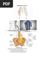 Musculoskeletal Clinical Translation Framework | PDF | Pain | Neuroscience