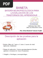Baneta Manual | PDF