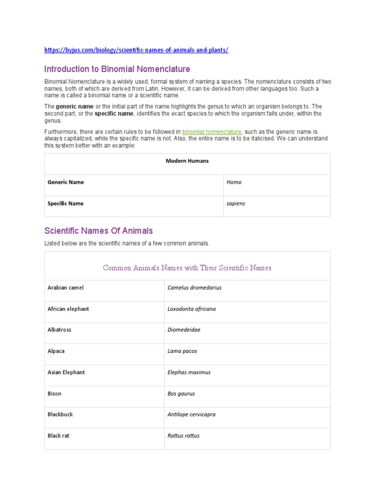 Introduction To Binomial Nomenclature: Modern Humans | PDF