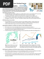 File-Sample 2MB | PDF