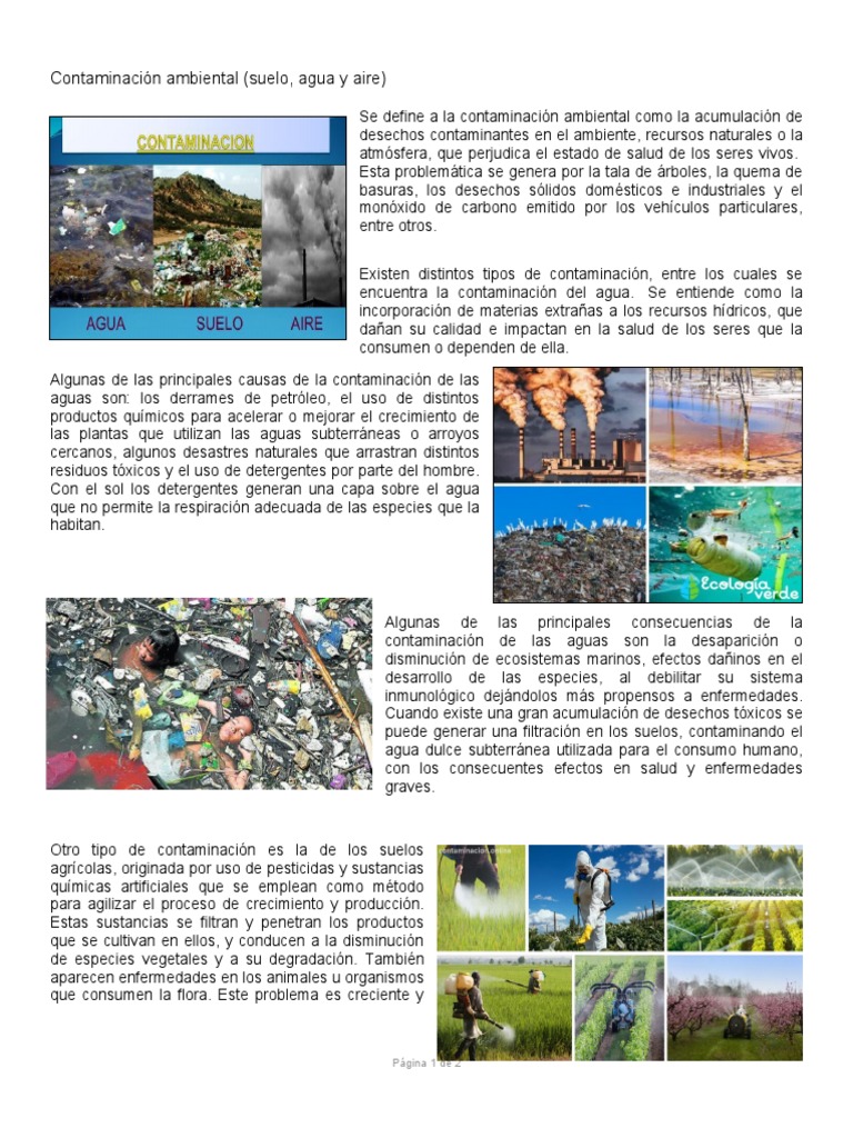 Tipos y consecuencias de la contaminación | PDF | Contaminación | La ...