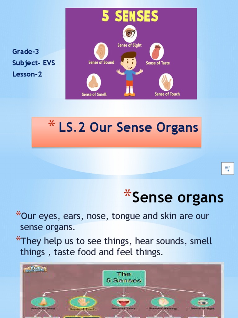 Gr-3 EVS - CH.2 Our Sense Organs - PPT-1 | PDF | Senses | Hearing
