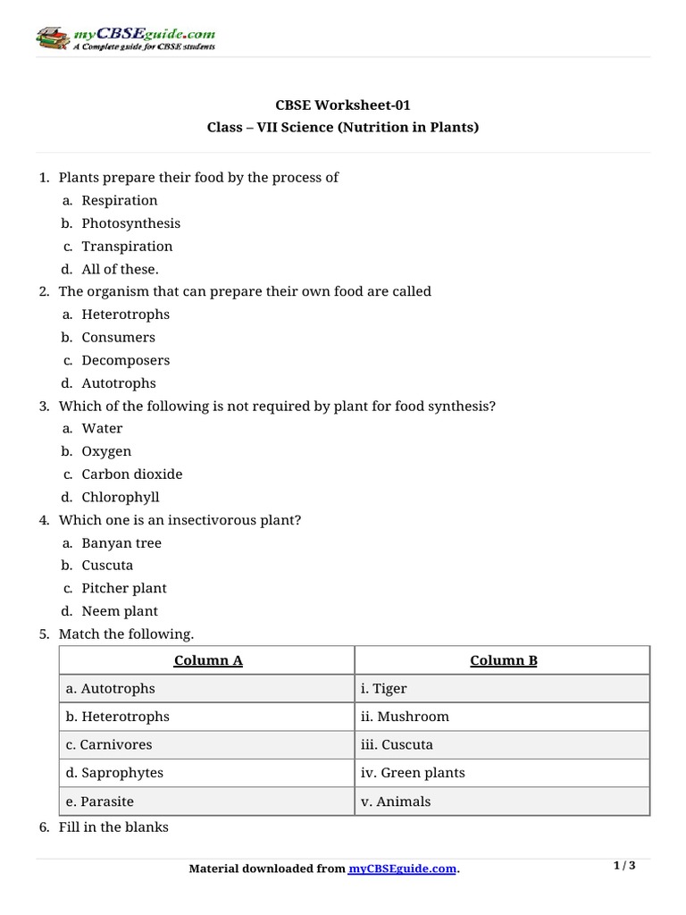 7 Science Worksheet ch1 1 | PDF | Plants | Photosynthesis