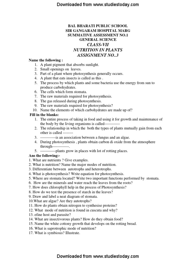 CBSE Class 7 Science Worksheet (3) - 0-Unlocked PDF | PDF | Plants ...