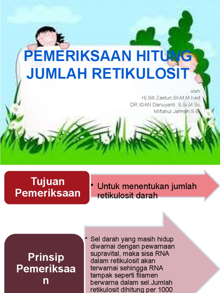 Pemeriksaan Hitung Jumlah Retikulosit | PDF