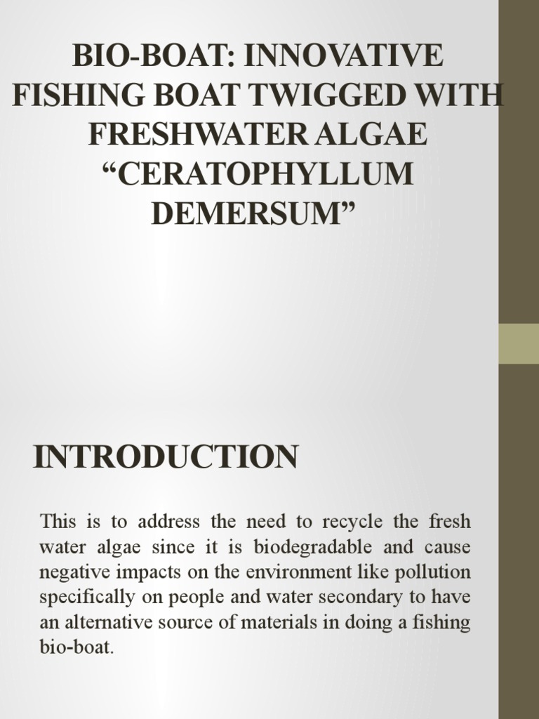 Bio-Boat: Innovative Fishing Boat Twigged With Freshwater Algae ...