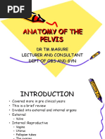 Mechanism of Normal Labour | PDF | Childbirth | Pelvis