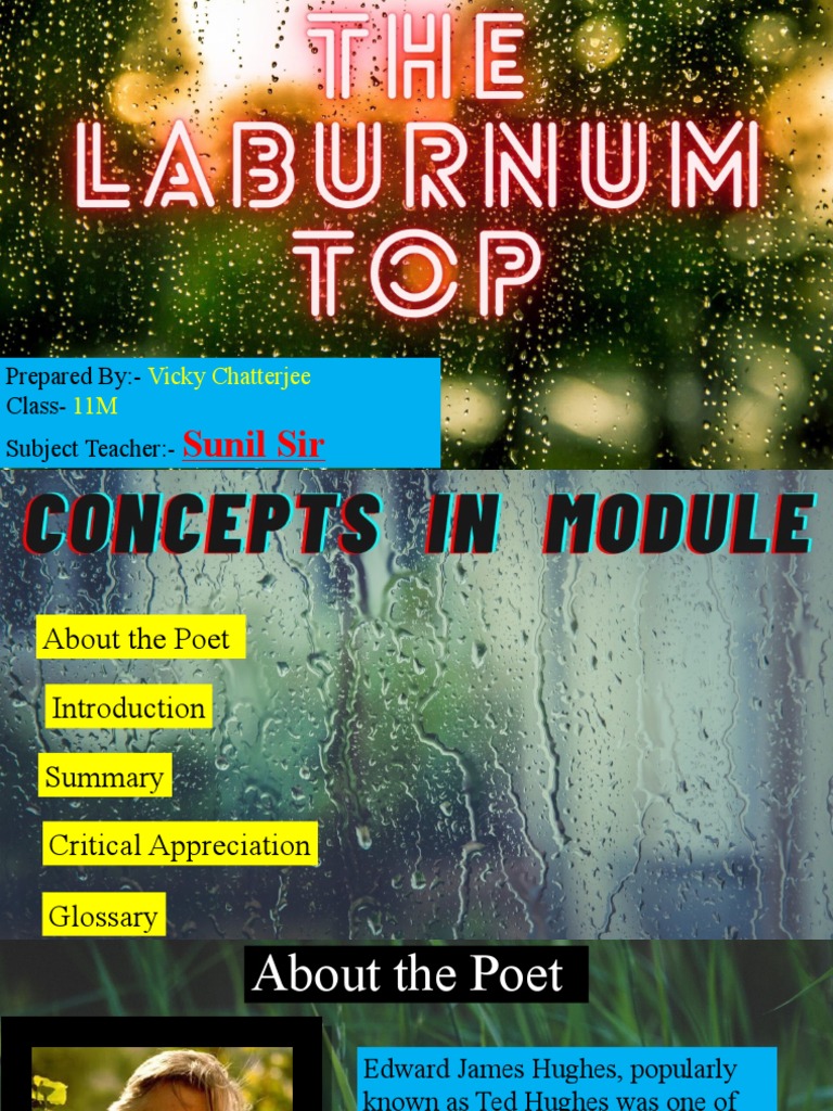 The Laburnum Top | PDF