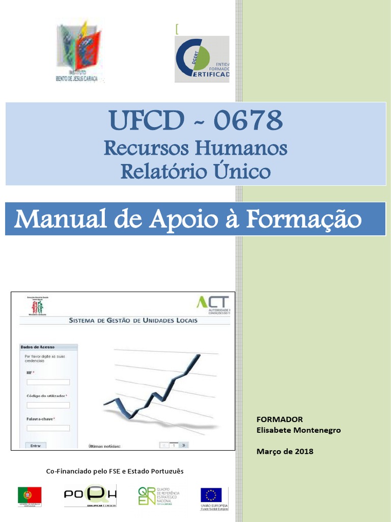 Manual - Relatório Único - Anexo | PDF | Servidor Proxy | Autenticação