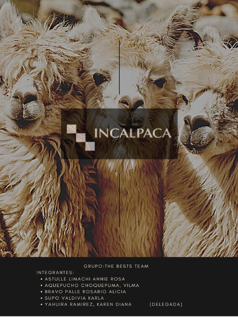 INCALPACA | PDF | Planificación | Contabilidad
