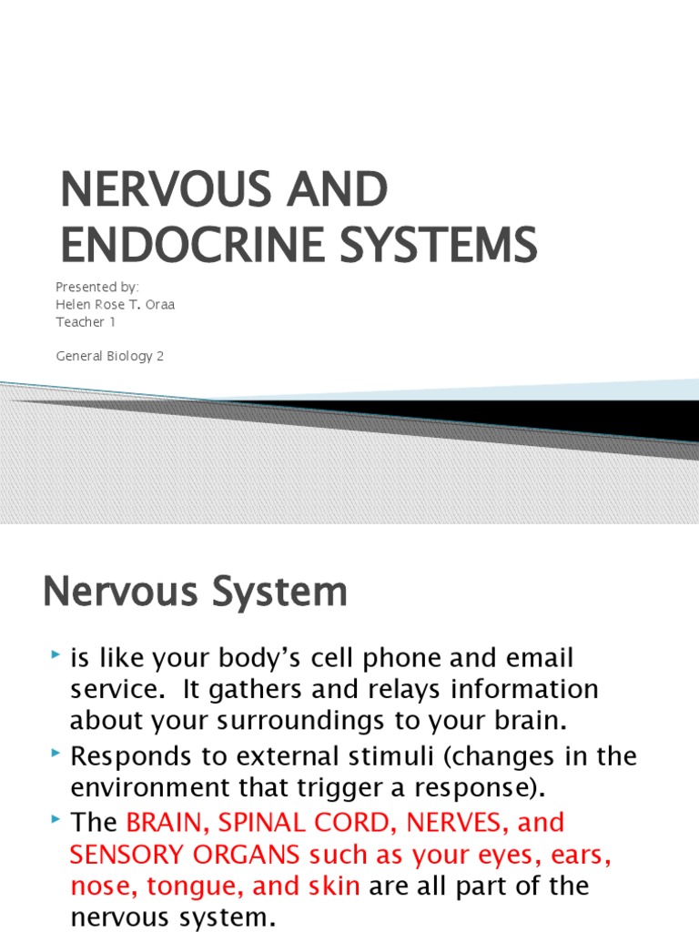 Nervous and Endocrine Systems Overview | PDF | Nervous System | Central ...