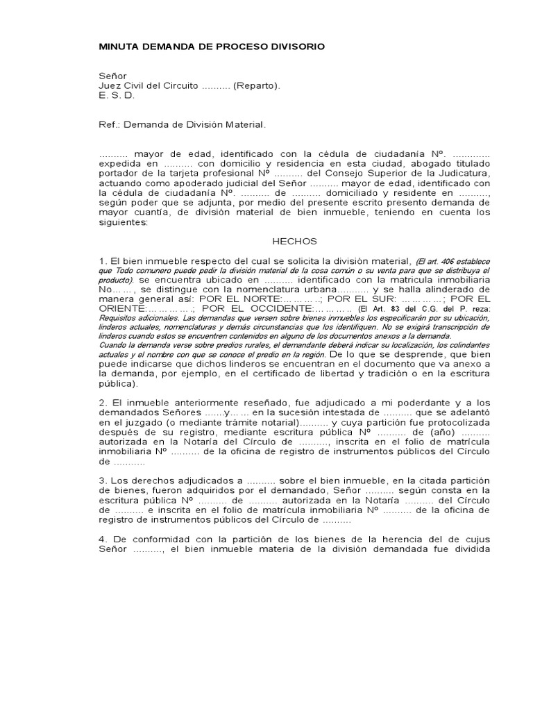 Minuta de Demanda de Proceso Divisorio | PDF | Demanda judicial | Ley común