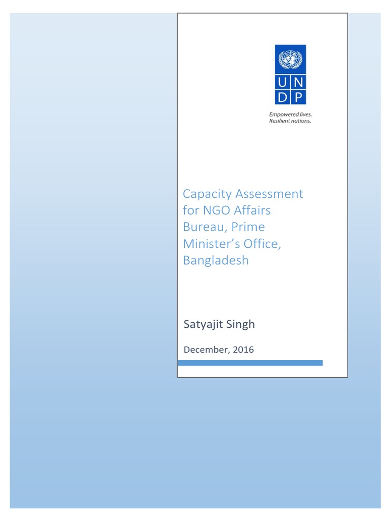 Final Report Capacity Assessment For NGO Affairs Bureau Dec | PDF ...