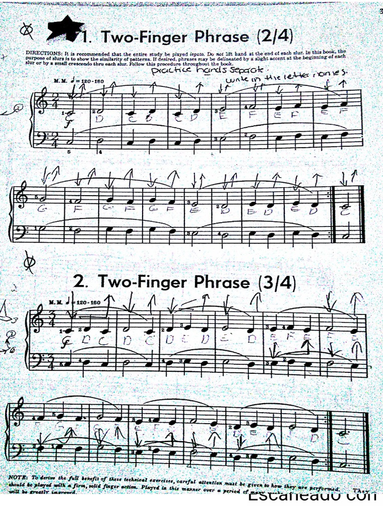 Finger 1 Del.1 Al.12 | PDF