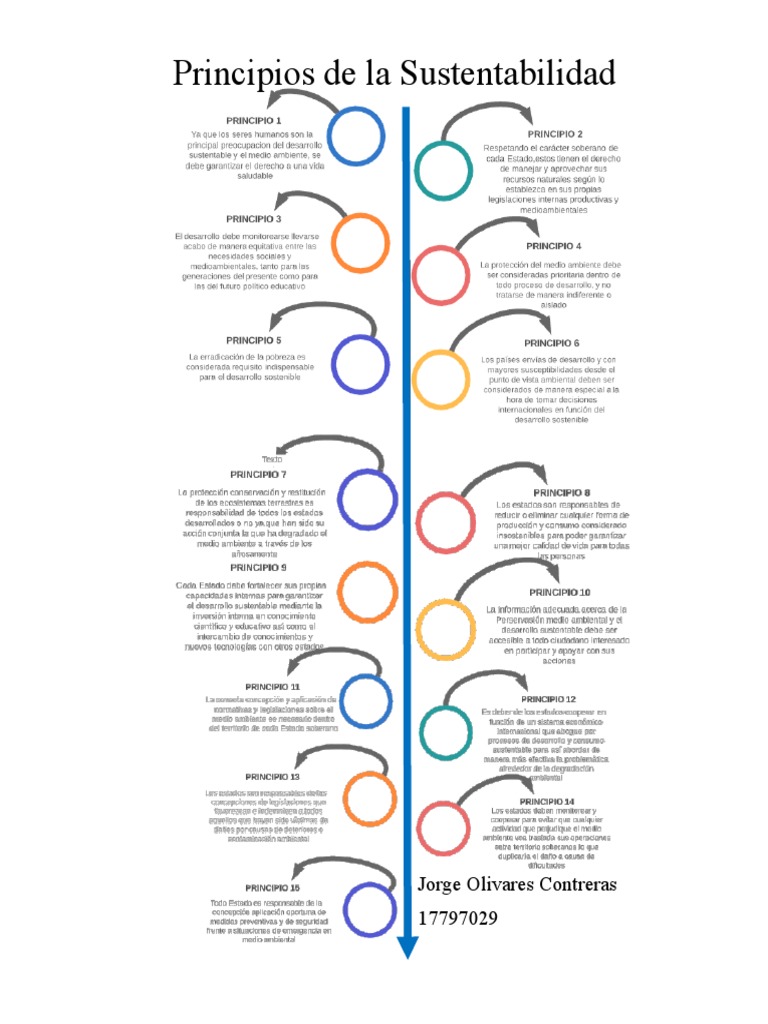 Principios de La Sustentabilidad | PDF